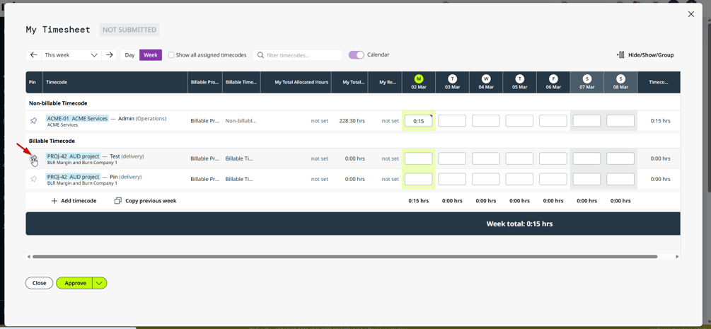 Using your timesheet